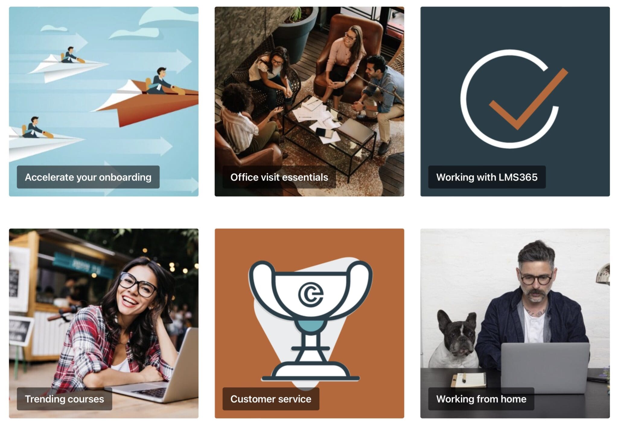 SharePoint Image Layout Options | Essential