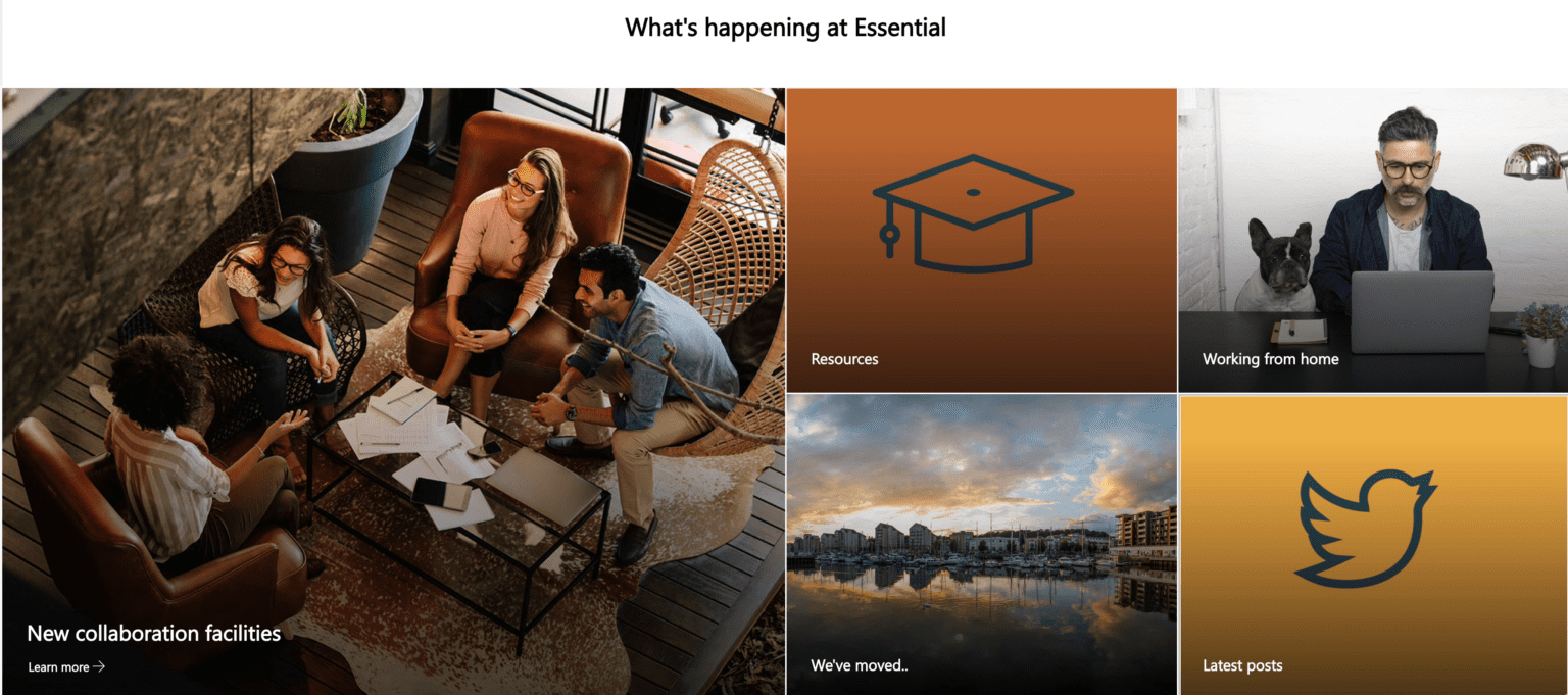 Tips to Help Maintain Your Brand in SharePoint | Essential