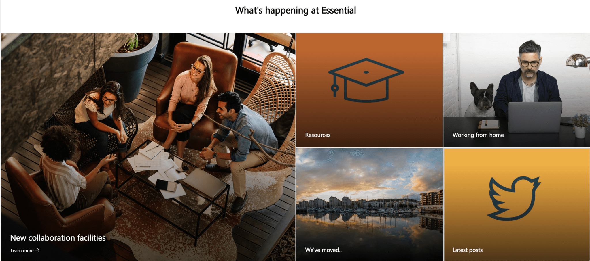 Tips to Help Maintain Your Brand in SharePoint | Essential