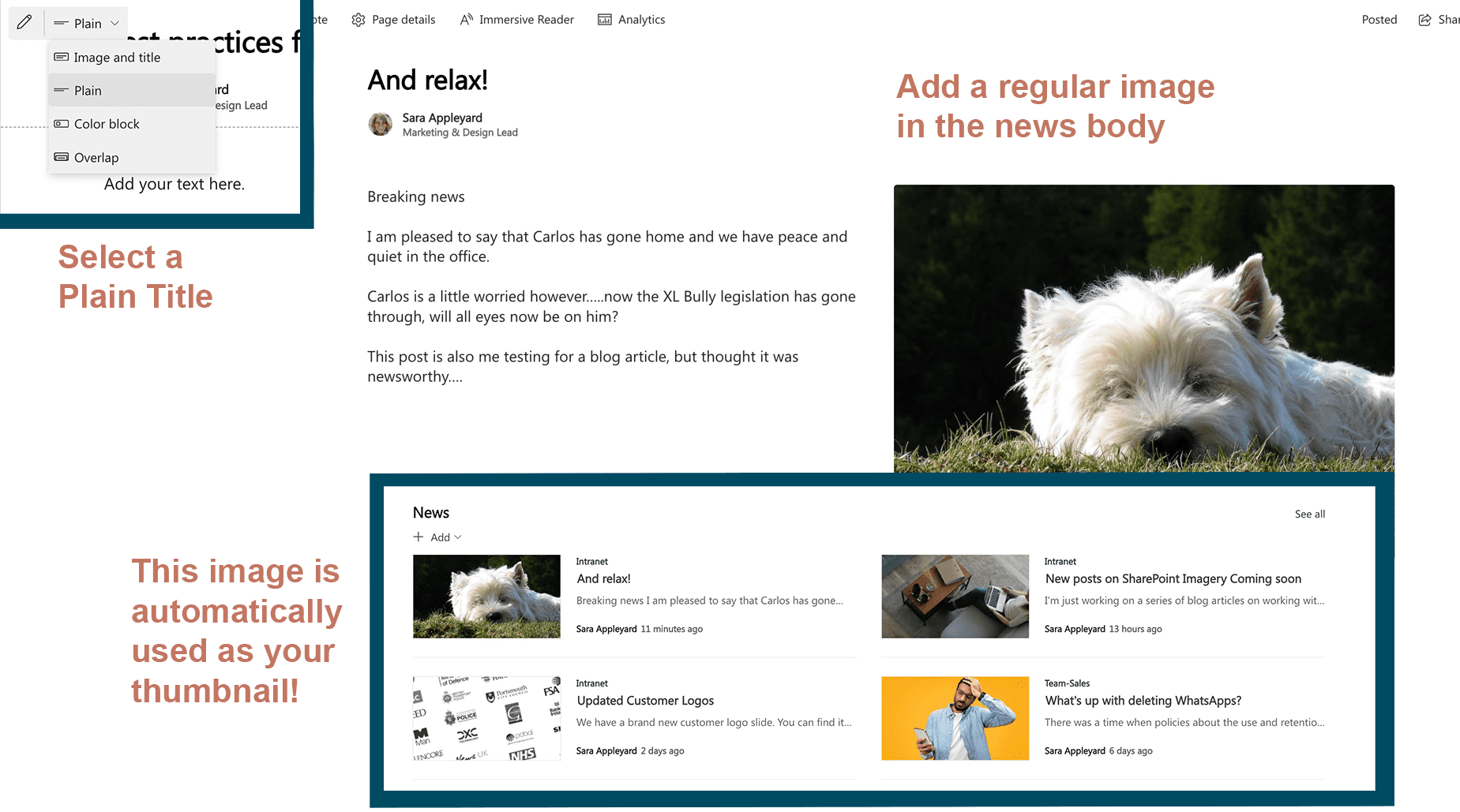 Tips for working with those awkward, skinny SharePoint Title Images ...